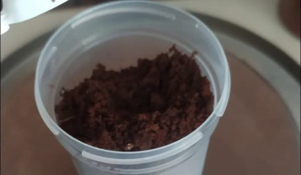 Tibetan Tonkin DEER MUSK NAFA ANIMALIC KASTURI OIL مسك غزال Moschus Mi ...