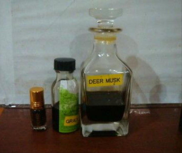 Pure Thick Musk Nafa 87% Wild Black DEER MUSK NAFA KASTURI | Aphrodisi ...