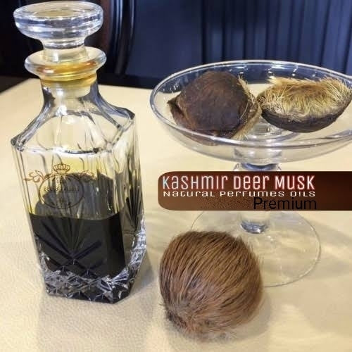 Authentic (Rare Kashmiri Kasturi) Pure Premium Deer Musk Nafa Pheromon ...