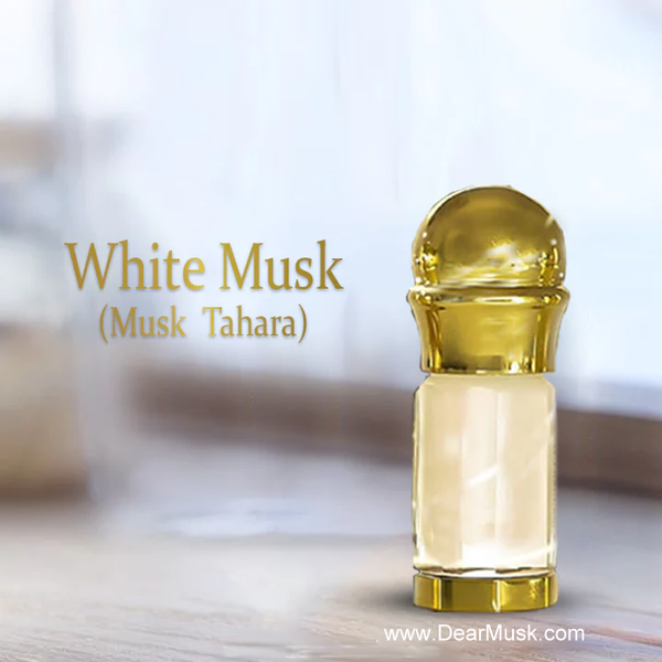 Pure White Musk Tahara (Made in K.S.A) Touch of Coolness - Pure White ...
